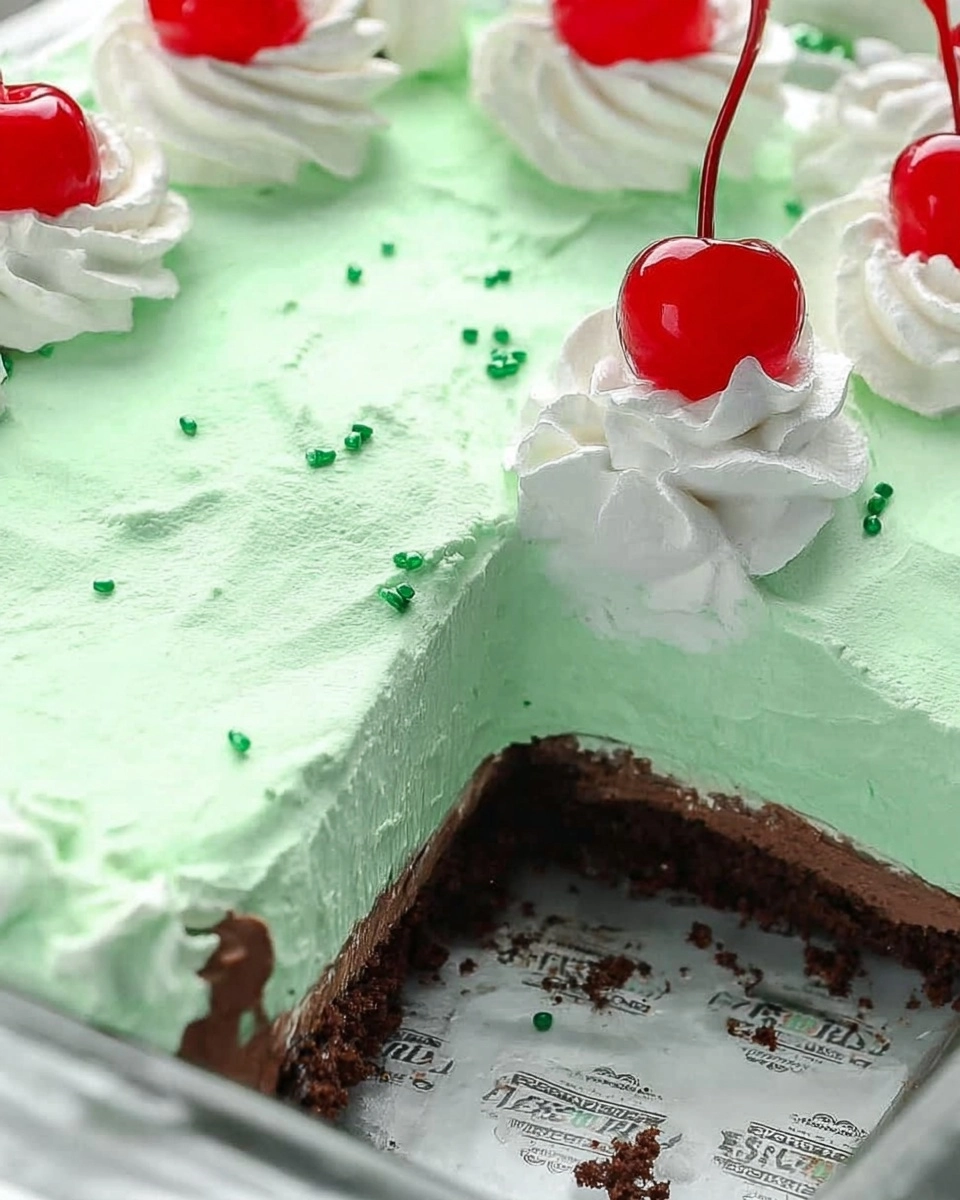 Shamrock Shake Lasagna: A No-Bake Minty Layered Dessert - www ...